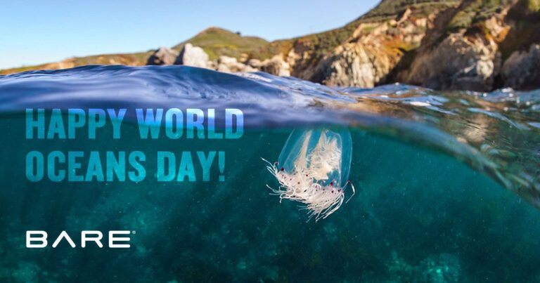 From all of us at BARE—Happy World Oceans Day!